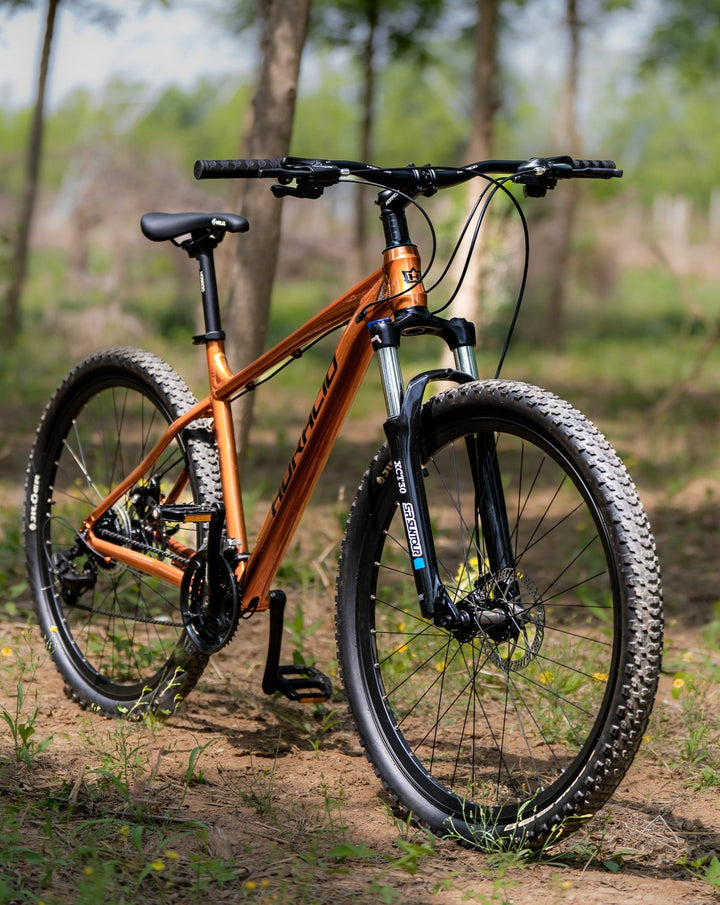 29 inch Mountain Bike