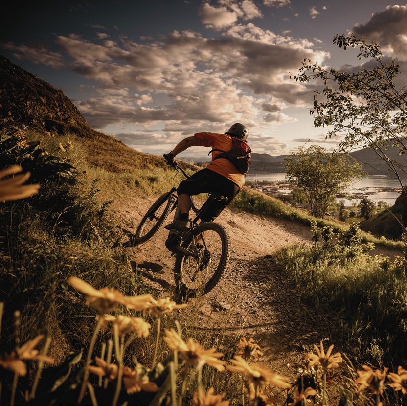 Horaciobikes: Australia's Online Bicycle Shop | Mountain Bikes