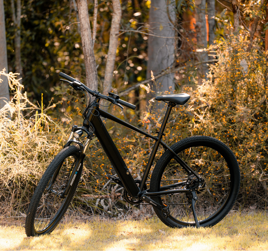 Horaciobikes: Australia's Online Bicycle Shop | Mountain Bikes